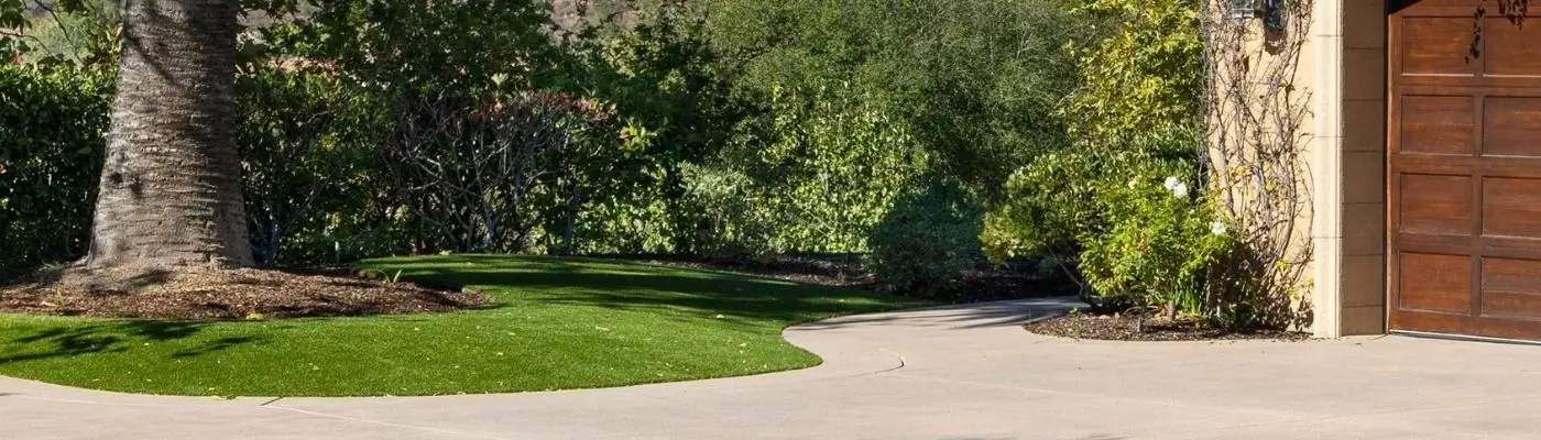 How to Prevent Tree Root Damage to Driveways and Pathways
